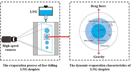 Dynamic evaporation characteristics of liquefied natural gas droplets ...