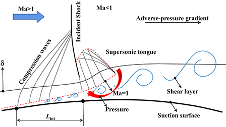 Large eddy simulation of shock wave/boundary layer interactions in a transonic compressor ...