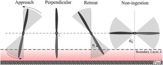 On the aeroacoustics of turbulent boundary layer ingesting propellers ...