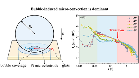 Hydrogen bubble evolution and gas transport mechanism on a ...