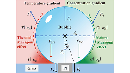Insight into the electrolyte concentration impact on single hydrogen ...
