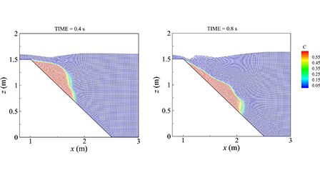 Numerical simulation of submarine landslide tsunamis based on the smoothed particle ...
