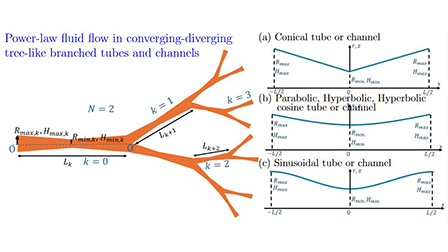 Scaling laws for optimal power-law fluid flow within converging ...