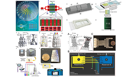 A review on the development and application of microfluidic ...