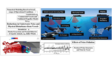 Hydroacoustic analysis of a full-scale marine vessel: Prediction of the cavitation-induced ...