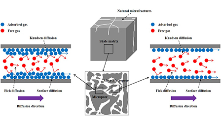 A shale apparent gas diffusion model under the influence of adsorption ...