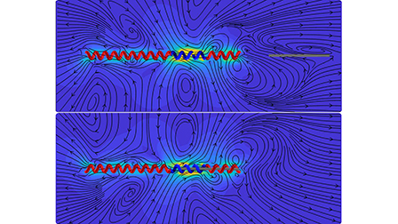 Designing a magnetic micro-robot for transporting stiff filamentous ...