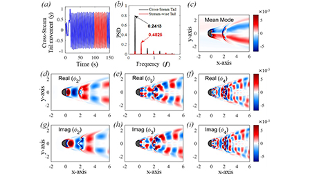 Dynamic mode decomposition of a flexible flag behind a semi-circular ...
