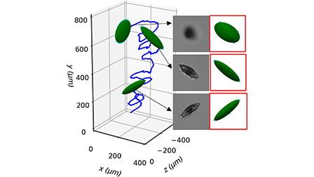 Deep learning and defocus imaging for determination of three-dimensional position and ...