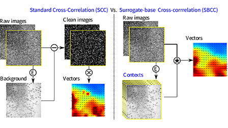 Surrogate-based cross-correlation for particle image velocimetry | Physics of Fluids | AIP ...