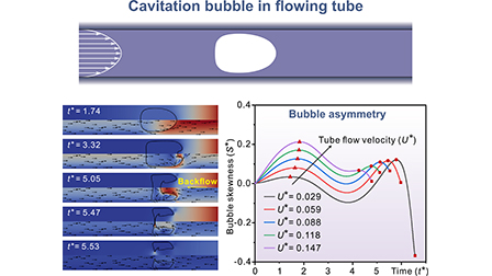 Numerical study of cavitation bubble dynamics in a flowing tube ...