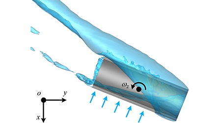 Effects of entry angle on the water-entry cavity and motion ...