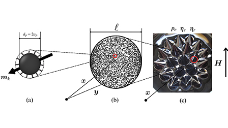 Revisiting the governing equations of a magnetic suspension of polar ...