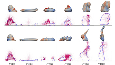 Bouncing dynamics and directional migration of two off-center droplets ...