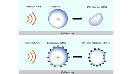 Nonlinear three-dimensional modeling for encapsulated microbubble dynamics subject to ultrasound ...