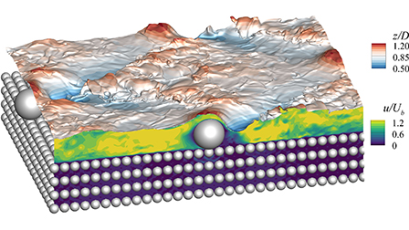 On the role of the Froude number on flow, turbulence, and hyporheic ...