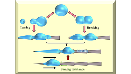 Mechanistic analysis of droplets blocked at junctions of serial wedge ...
