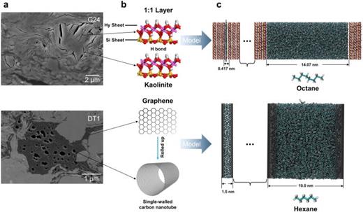 Molecular dynamics of quantitative evaluation of confined fluid ...