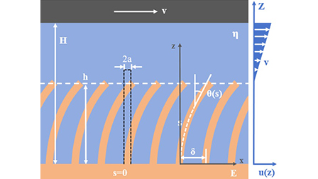 Series solution and its extension for the nonlinear flow response of ...
