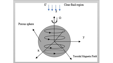Flow past a rotating porous sphere in the existence of a toroidal ...