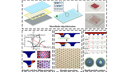 A bionic microdroplet array chip for particle trapping | Physics of ...