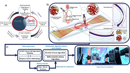Ultrasound-assisted microfluidic cell separation: A study on ...