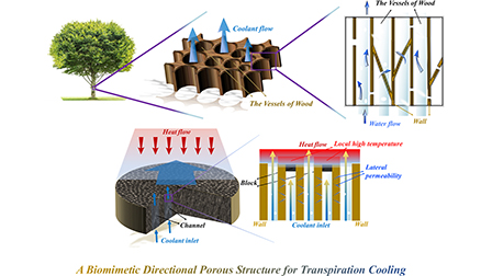 Numerical simulation of the effects of double blocking regions on transpiration cooling in ...
