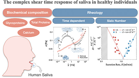 The complex shear time response of saliva in healthy individuals ...