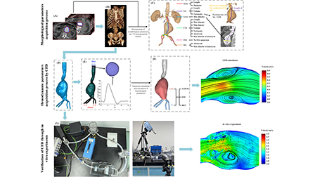 Volume 37 Issue 1 | Physics of Fluids | AIP Publishing
