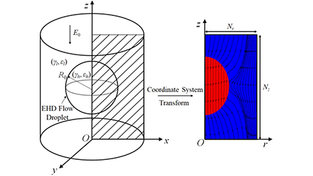 Phase-field-based regularized lattice Boltzmann method for axisymmetric ...