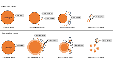 The evaporation characteristics and molecular cluster variation of ...