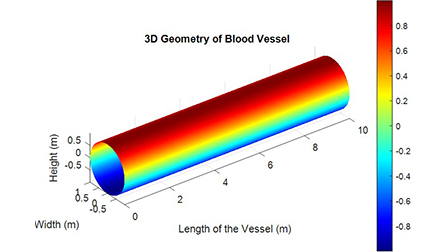 Blood flow dynamics and vascular fluid mechanics | Physics of Fluids ...