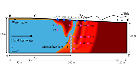 Effects of a subsurface dam on unstable flow pattern in coastal ...