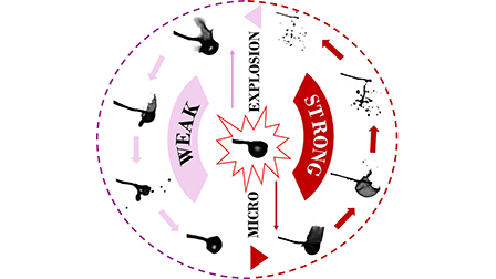 Evaporation and micro-explosion characteristics of oxymethylene ...