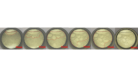 Study on hydrate formation and plugging mechanisms in mineral oil ...