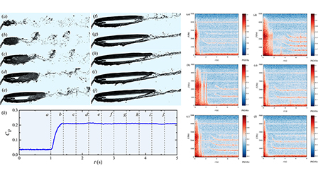 Experimental investigation of the formation and collapse process of a ...