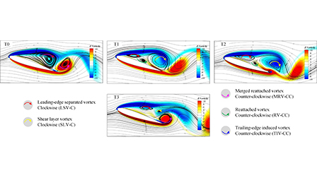 Flow transition and vortex evolution of a symmetric airfoil at low ...