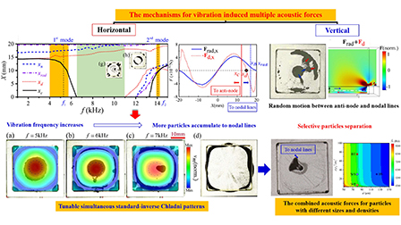 Fluid–structure boundary-driven simultaneous standard-inverse Chladni patterns for selective ...