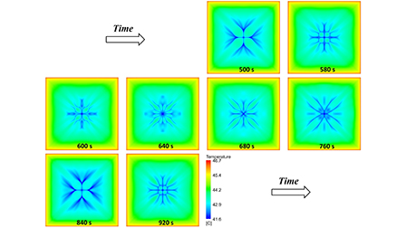 Thermal structures on the water surface: Chaotic and regular trees ...
