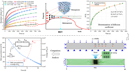 New insights into the comparison of diffusion models and their impacts ...