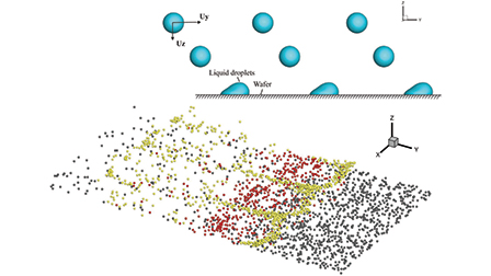The microparticles adhesion and removal dynamics in wafer-scale ...