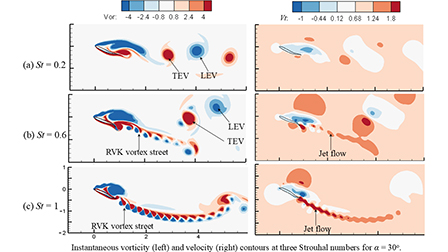 Effects of the Reynolds number and attack angle on wake dynamics of ...