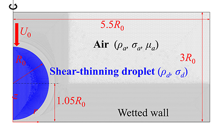 The maximum spreading of a shear-thinning fluid droplet impacting on ...