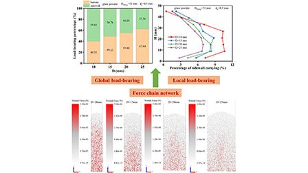 Particle weight spatial distribution and force chain network evolution ...