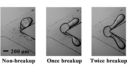 Transportation behaviors of double emulsion droplets under the ...