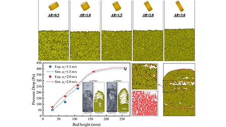 Effect of particle shape on particle flow and heat transfer behavior ...