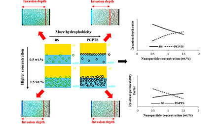 Pore-scale insights into the effect of surface-modified nanosilica on ...