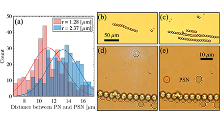 Pressure sub-node formation by interparticle acoustic radiation forces ...