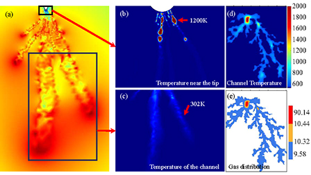 Simulation study on gas–liquid phase transition streamer discharge ...