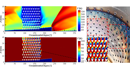 Rotating detonation combustor with regional full-coverage film cooling ...